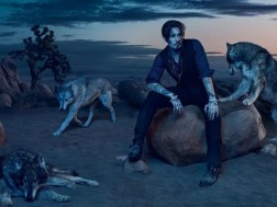 ჯონი დეპი ემბერ ჰერდისგან მიღებულ 1 მილიონ დოლარს საქველმოქმედო ...